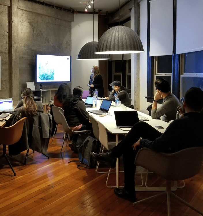 About Us | CovertSwarm